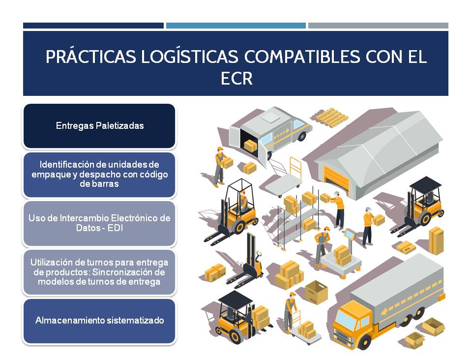 Efficient Consumer Response | Líder del Emprendimiento